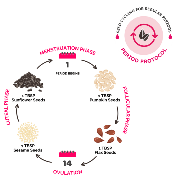 Seed Cycling for Regular Periods Protocol | Fix Your Period Collective